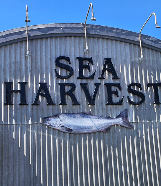 california fish chips ftr