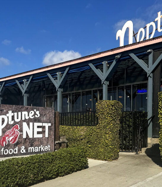 california fried shrimp taco ftr