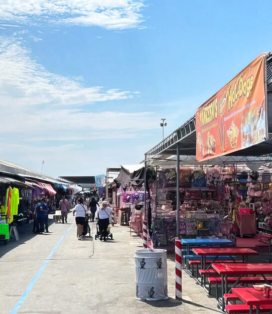 california gigantic swap meet ftr