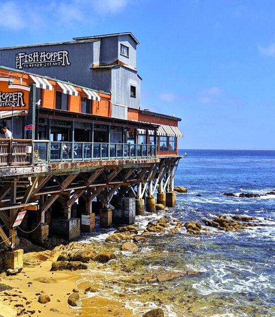 california homey fish chips ftr