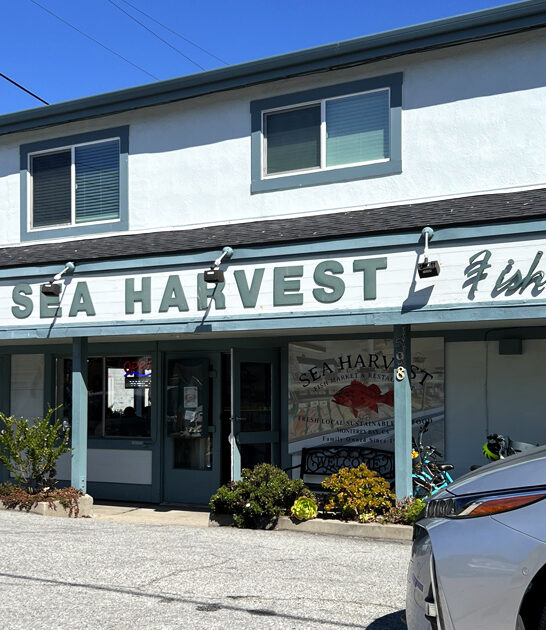 california market clam chowder ftr