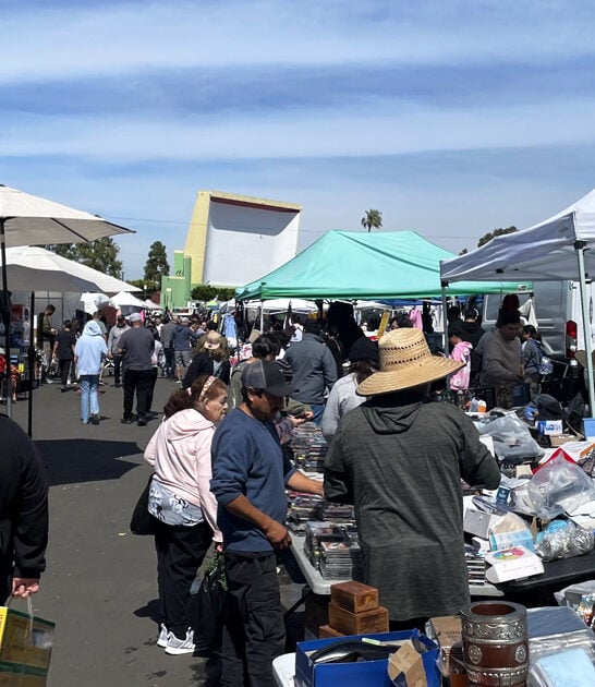 california outdoor market treasure ftr