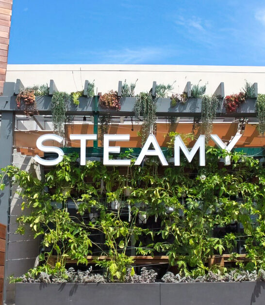 california piggy buns restaurant ftr