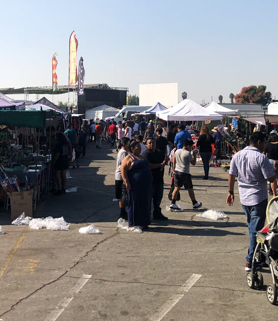 california rare treasure market ftr