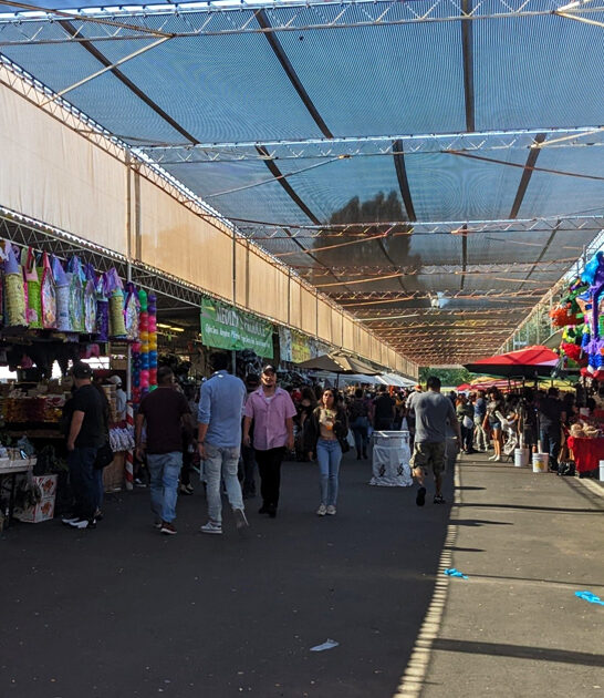 california swap meet massive ftr