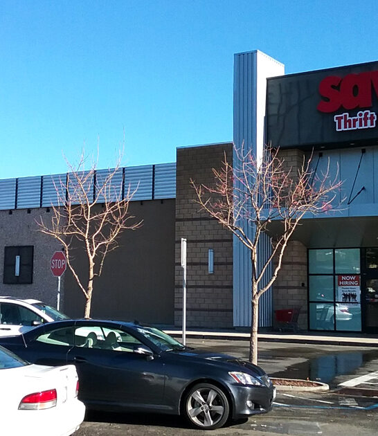 california thrift gigantic store ftr