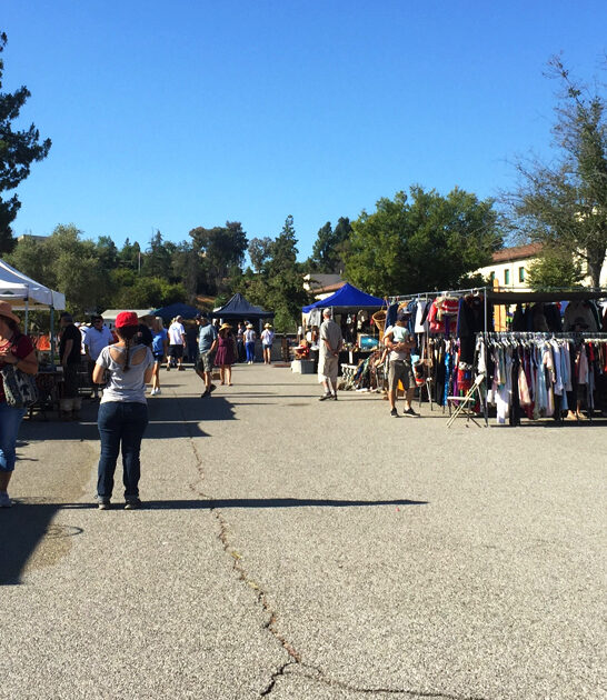 california treasure hunter paradise ftr