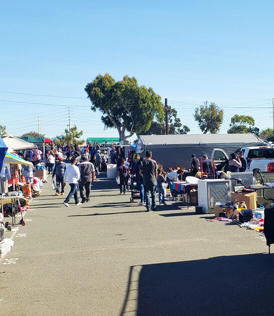 california treasures flea market ftr