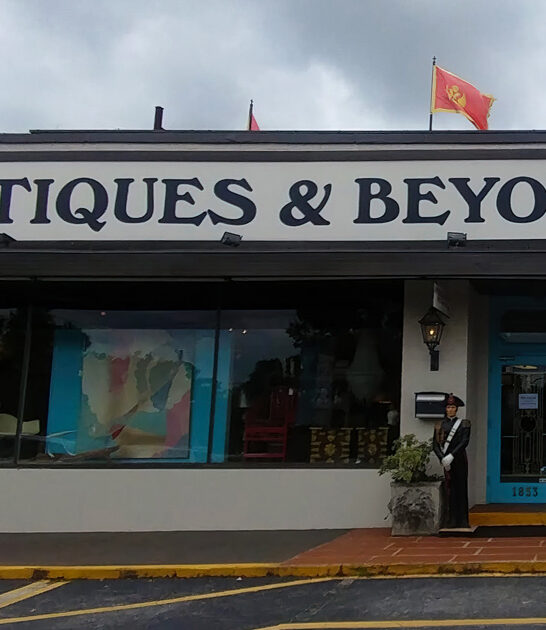 charming antique store georgia ftr