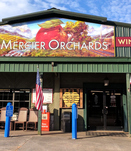 charming bakery georgia trip ftr