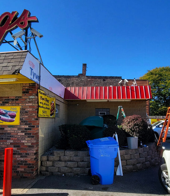 chicago hot dog illinois ftr