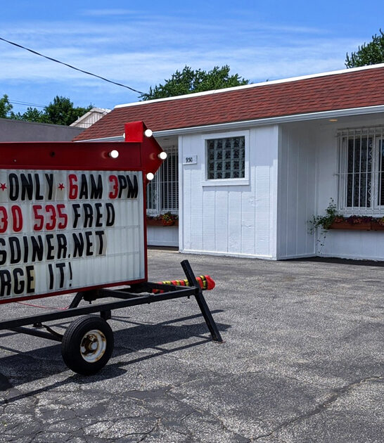 chicken dumpling diner ohio ftr