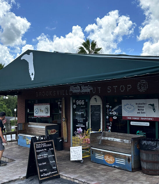 cinnamon rolls florida ftr