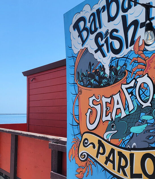 clam chowder california cafe ftr