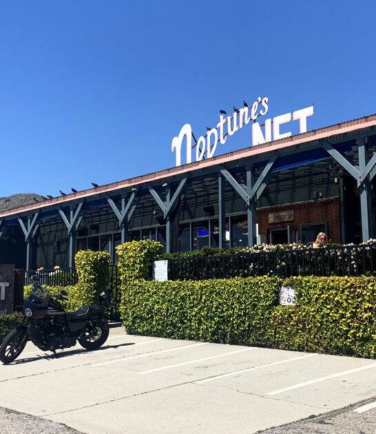 clam chowder california legend ftr