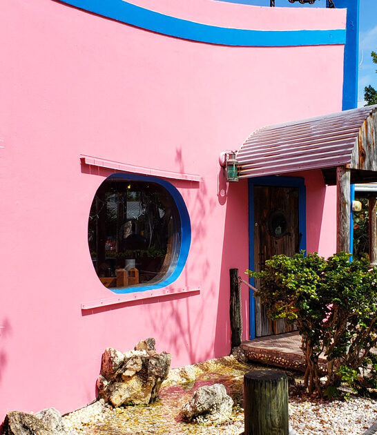 clam chowder sports florida ftr