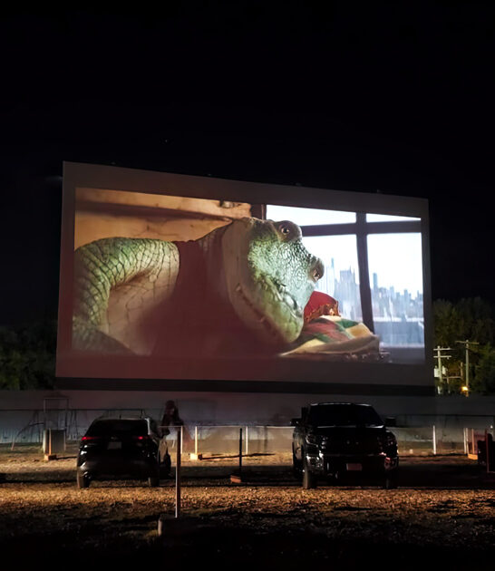 classic drive theater illinois ftr