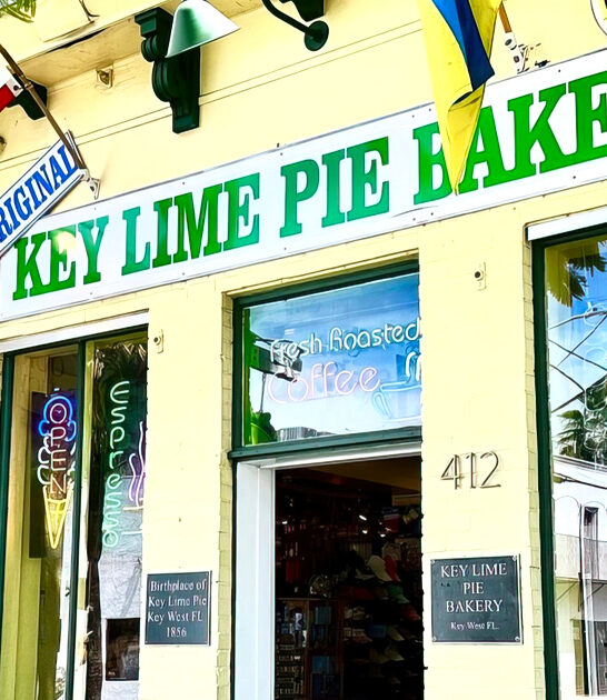 coconut cream pie florida ftr