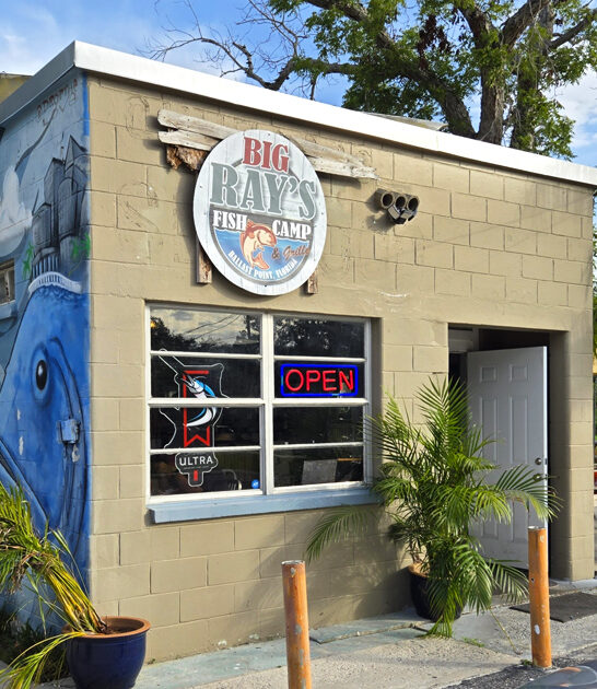 conch fritters florida ftr