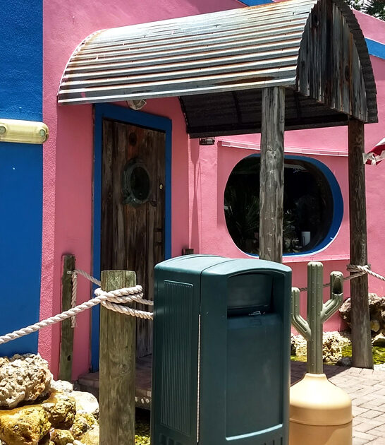 conch fritters sports florida ftr