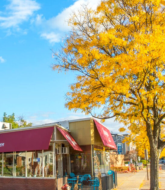 cozy michigan diner classic ftr