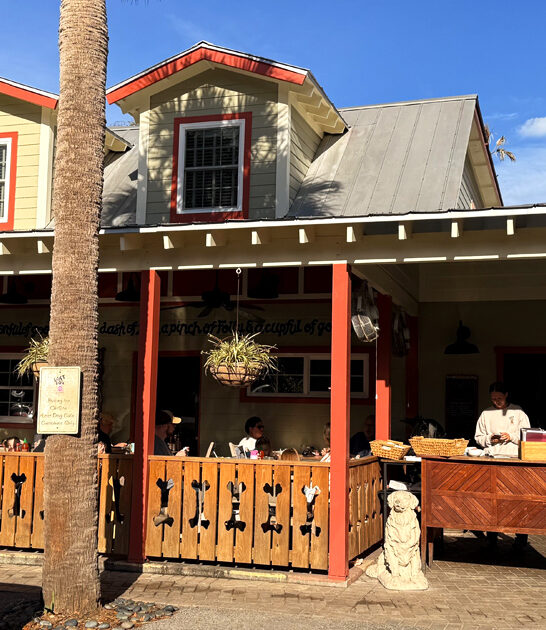 cozy south carolina cafe ftr
