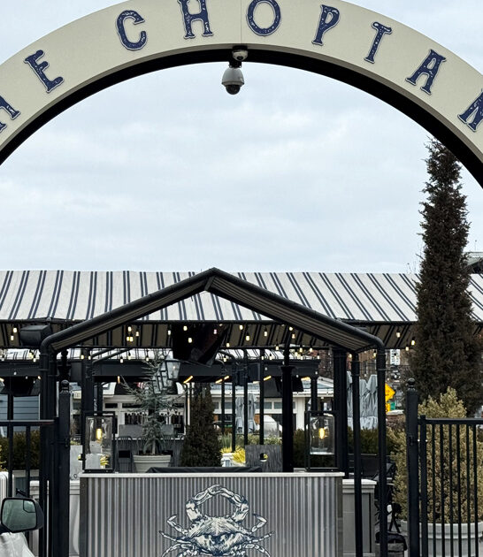 crab cake maryland legend ftr