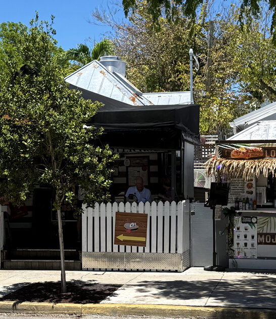 cracked conch florida seafood ftr