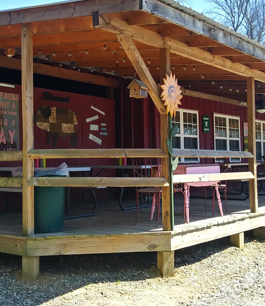 craveworthy fries hit georgia ftr