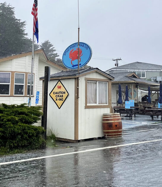 crispy fish california classic ftr