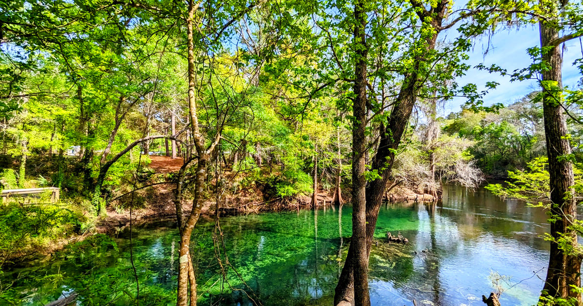 10 Crystal-Clear Springs In Florida That Are Worth The Drive From Anywhere