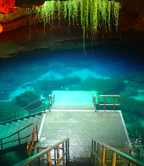 crystal springs florida melt ftr