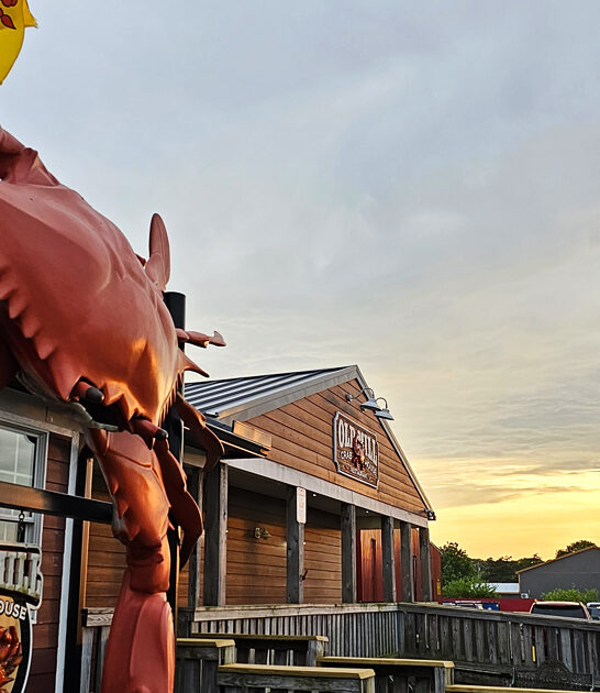 delaware delicious blue crabs ftr