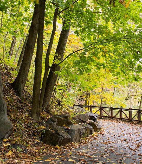 delaware enchanting state park ftr