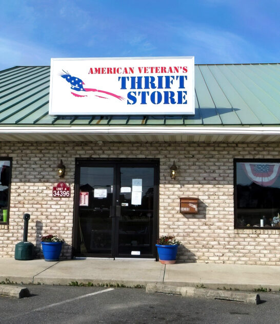 delaware gigantic secondhand store ftr