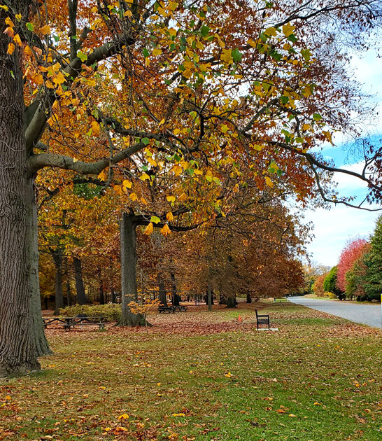 delaware park peaceful retreat ftr