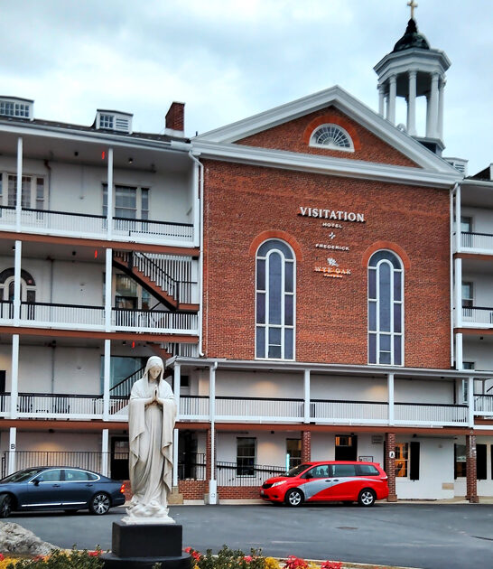 delectable lemon meringue maryland ftr