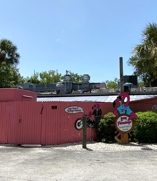 delicious chowder clam florida ftr