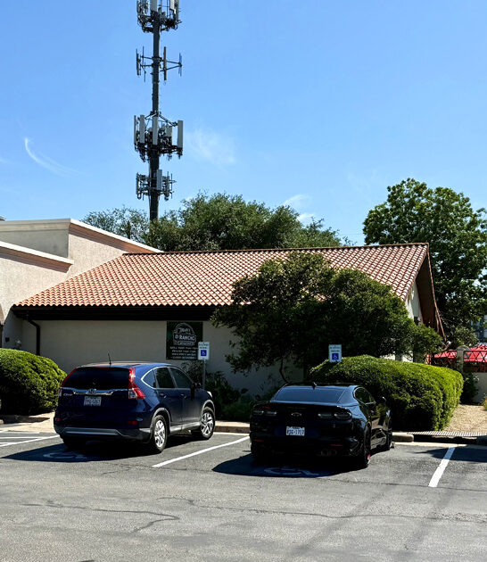 delicious enchiladas texas restaurant ftr