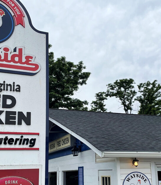 delicious french fries virginia ftr