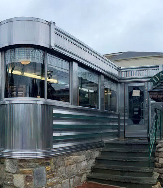 delicious fries pennsylvania diner ftr