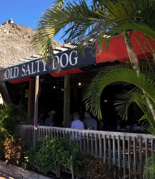 delicious grouper florida pub ftr