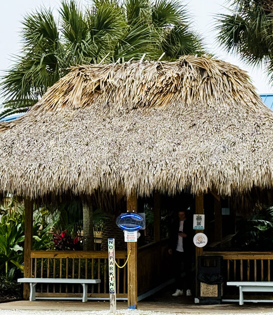 delicious grouper sandwich florida ftr
