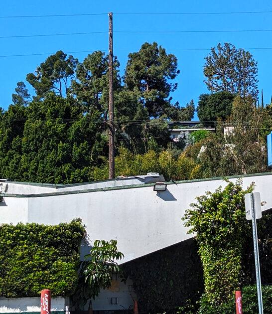 delicious onion rings california ftr