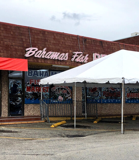 delicious onion rings florida ftr