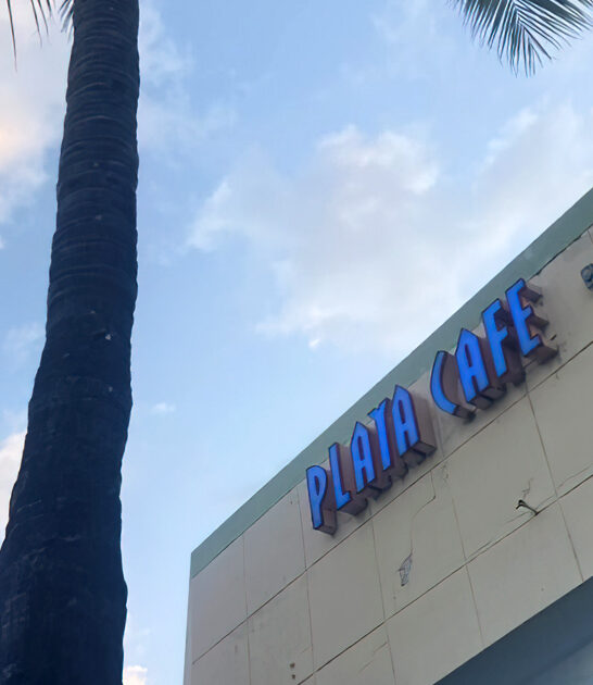 delicious pupusas florida cafe ftr