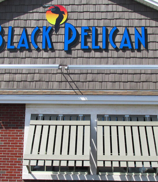 delicious ribeye steak virginia ftr