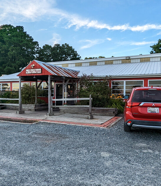 delicious steamed crabs maryland ftr