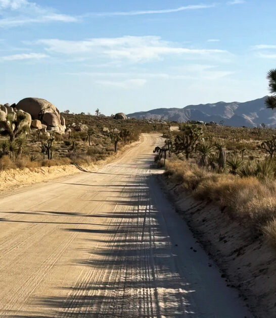 desert road california trip ftr