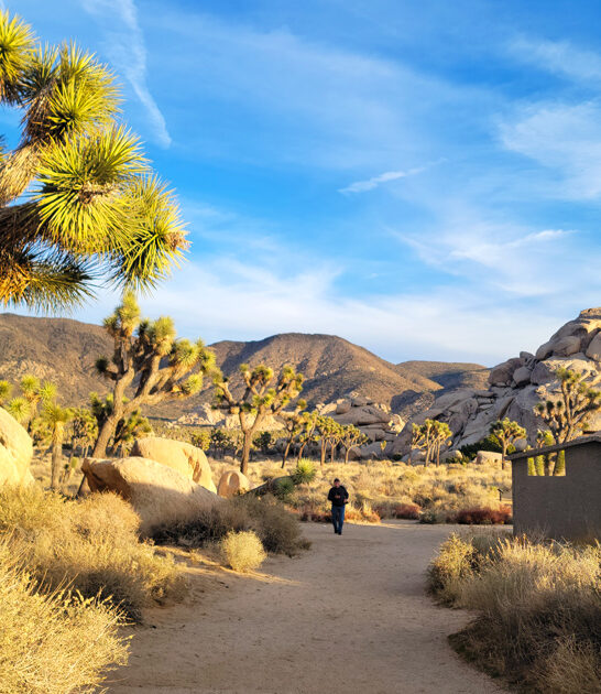 desert road trip california ftr
